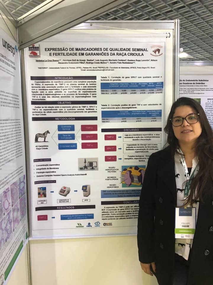 Historep » Apresentação do poster